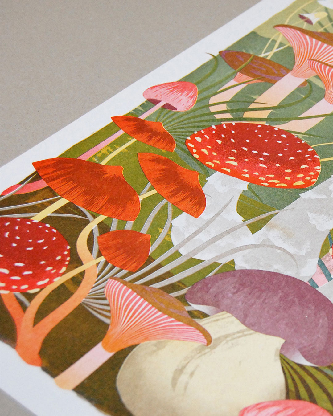 New Arrivals – Oklahoma